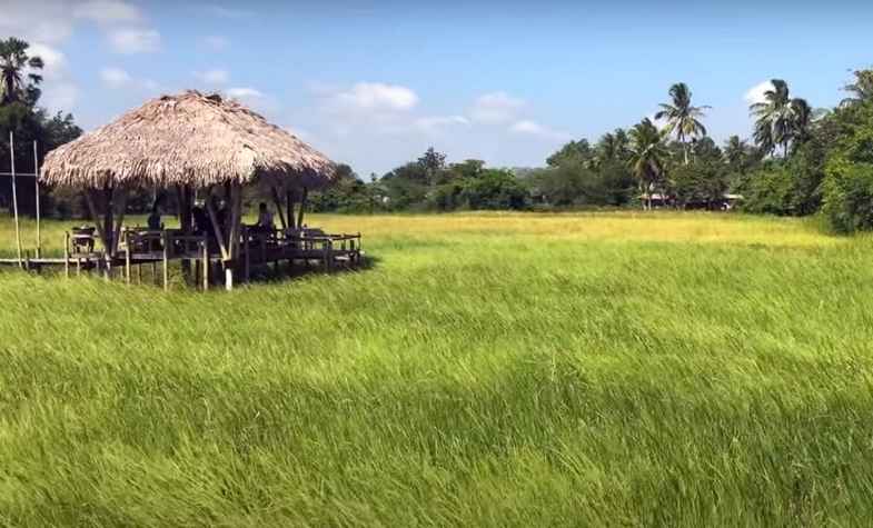 Phatthalung travel guides | Thailand travel | Travel Authentic Asia